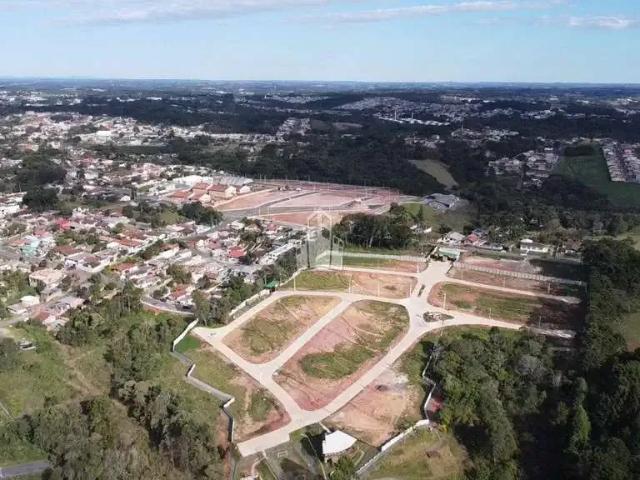 Terreno / Lote para Venda em Campo Largo/PR Vila Rivabem