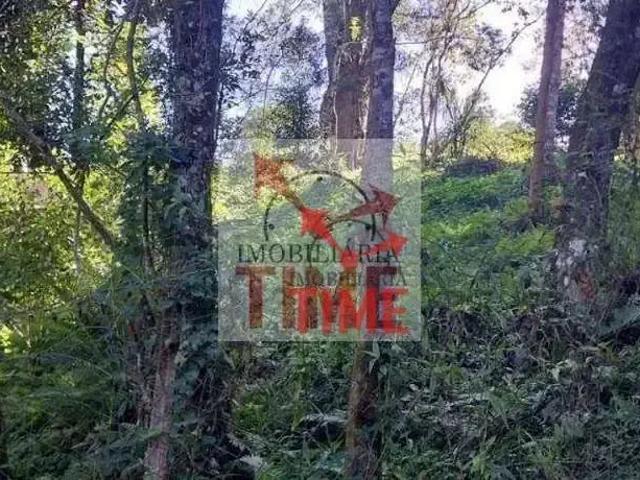 Terreno / Lote para Venda em Campo Largo/PR Vila Torres I