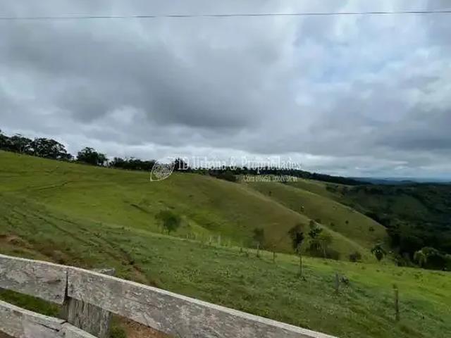 Terreno / Lote para Venda em Campo Largo/PR Área Rural de Campo Largo