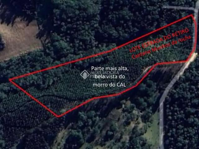 Terreno / Lote para Venda em Campo Largo/PR Zona Rural