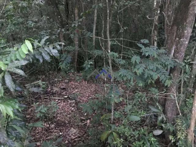 Terreno / Lote para Venda em Campo Limpo Paulista/SP Chácara Lagoa Branca