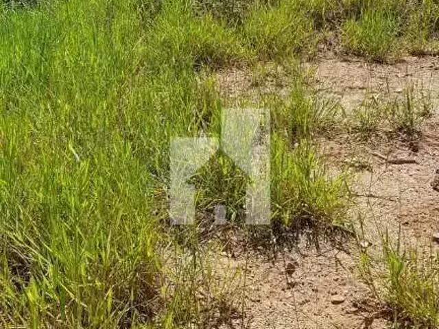 Terreno / Lote para Venda em Campo Limpo Paulista/SP Jardim Santa Branca