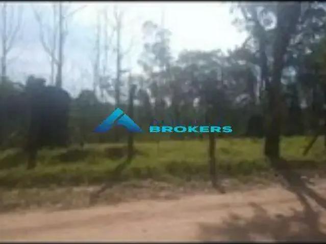Terreno / Lote para Venda em Campo Limpo Paulista/SP Pau Arcado