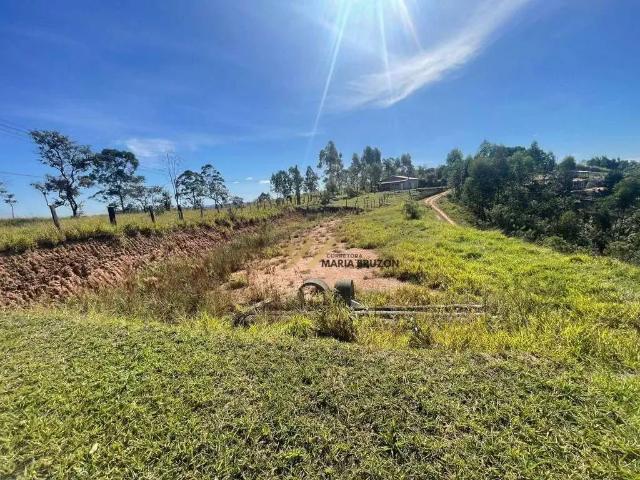 Terreno / Lote para Venda em Campo Limpo Paulista/SP Pau Arcado
