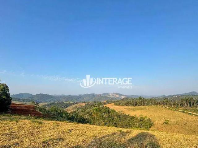 Terreno / Lote para Venda em Campo Magro/PR Ouro Fino de Baixo