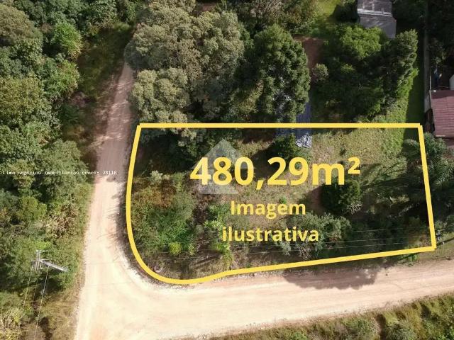 Terreno / Lote para Venda em Campo Magro/PR Centro