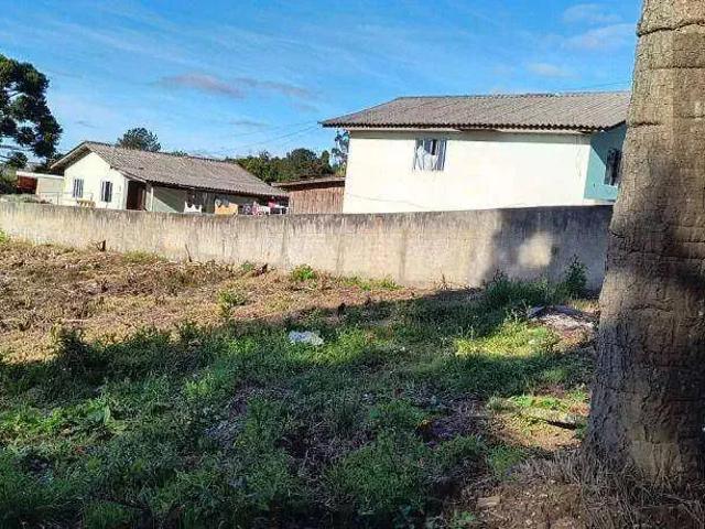 Terreno / Lote para Venda em Campo Magro/PR Centro