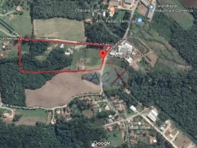 Terreno / Lote para Venda em Campo Magro/PR Samambaia