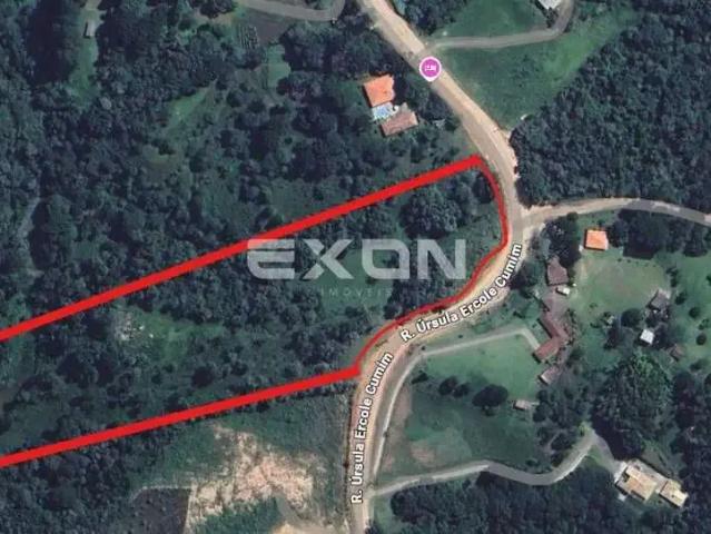 Terreno / Lote para Venda em Campo Magro/PR Samambaia