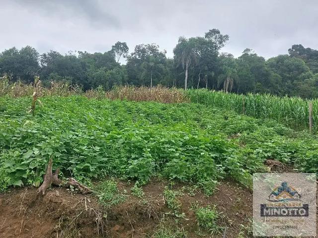 Terreno / Lote para Venda em Campo Magro/PR Zona Rural