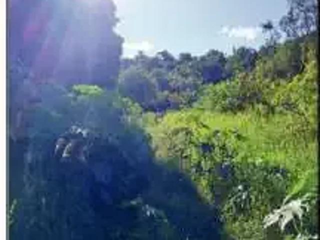 Terreno / Lote para Venda em Campo Mourão/PR Jardim Alvorada