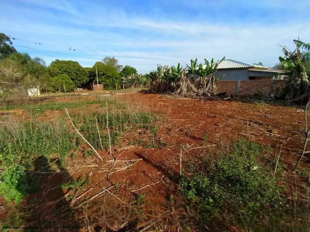 Terreno / Lote para Venda em Campo Mourão/PR Jardim Tropical II