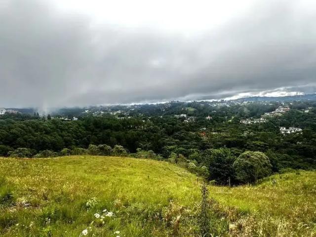 Terreno / Lote para Venda em Campos do Jordão/SP Colinas Capivari
