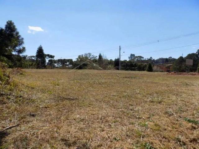 Terreno / Lote para Venda em Campos do Jordão/SP Colinas Capivari