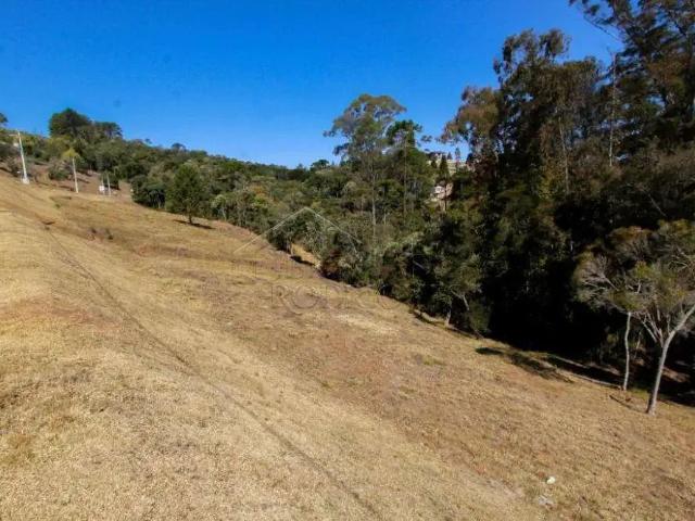 Terreno / Lote para Venda em Campos do Jordão/SP Colinas Capivari