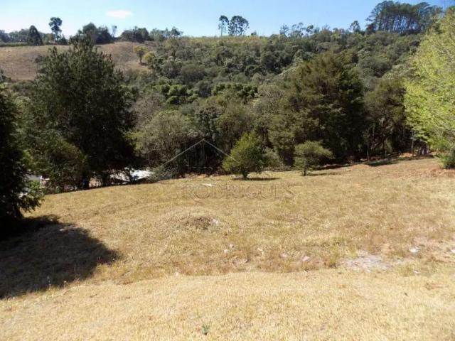 Terreno / Lote para Venda em Campos do Jordão/SP Colinas Capivari