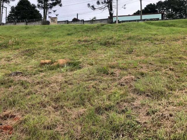 Terreno / Lote para Venda em Campos do Jordão/SP Colinas Capivari