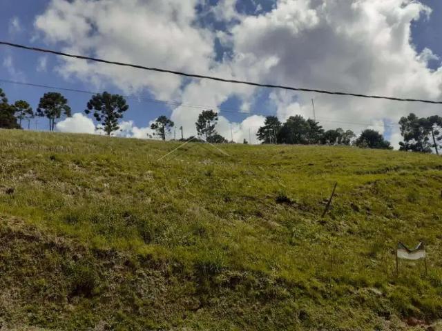 Terreno / Lote para Venda em Campos do Jordão/SP Colinas Capivari