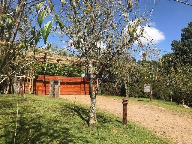 Terreno / Lote para Venda em Campos do Jordão/SP Capivari