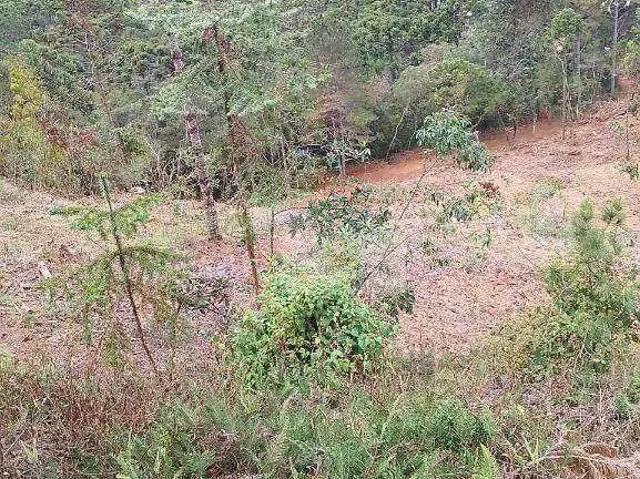 Terreno / Lote para Venda em Campos do Jordão/SP Capivari