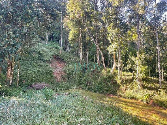 Terreno / Lote para Venda em Campos do Jordão/SP Alto do Capivari