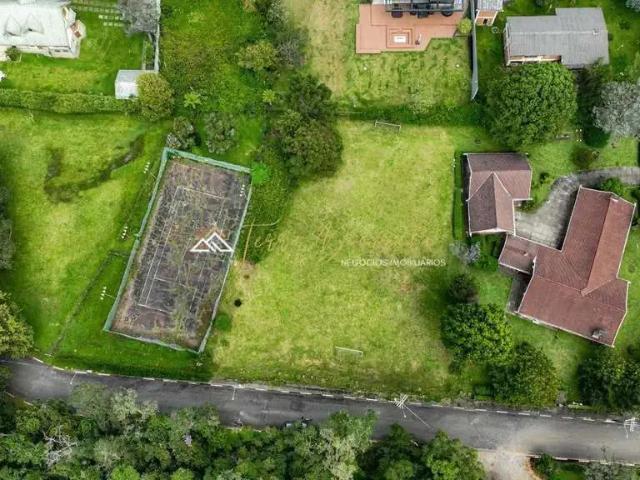 Terreno / Lote para Venda em Campos do Jordão/SP Alto do Capivari