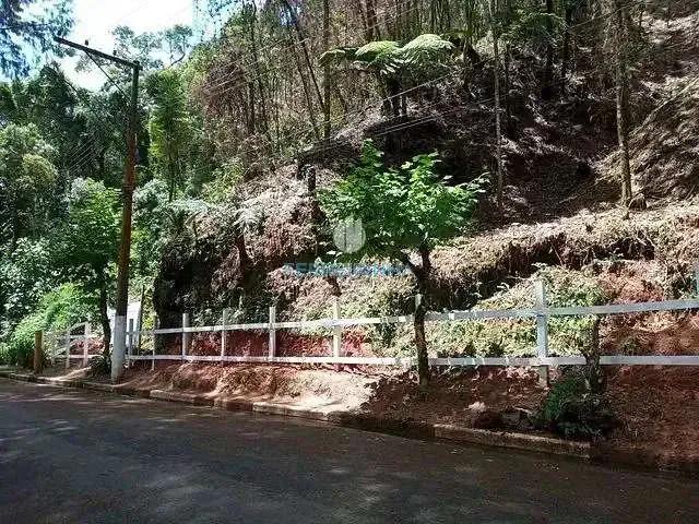 Terreno / Lote para Venda em Campos do Jordão/SP Alto do Capivari
