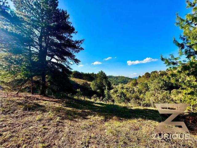 Terreno / Lote para Venda em Campos do Jordão/SP Descansopolis