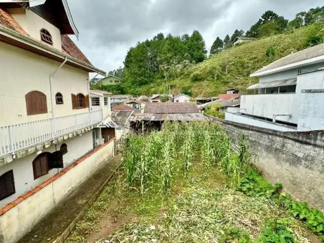 Terreno / Lote para Venda em Campos do Jordão/SP Floresta Negra