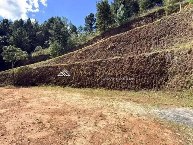 Terreno / Lote para Venda em Campos do Jordão/SP Jardim Atalaia