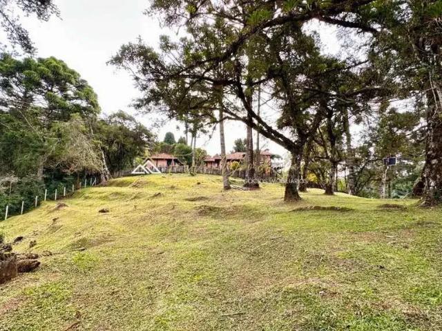 Terreno / Lote para Venda em Campos do Jordão/SP Jardim Atalaia