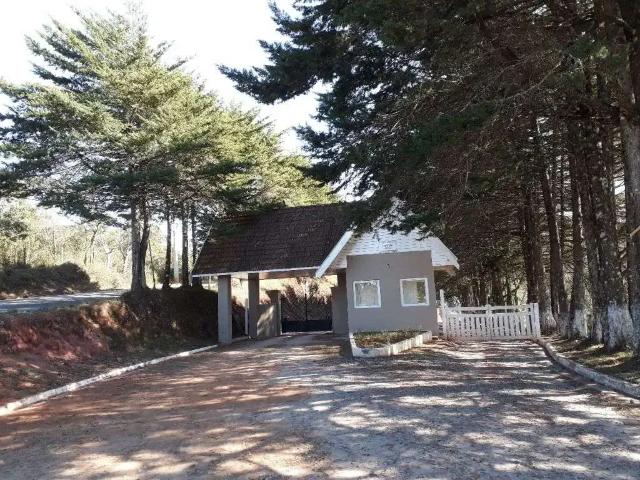 Terreno / Lote para Venda em Campos do Jordão/SP Jardim Atalaia
