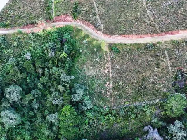 Terreno / Lote para Venda em Campos do Jordão/SP Jardim Atalaia