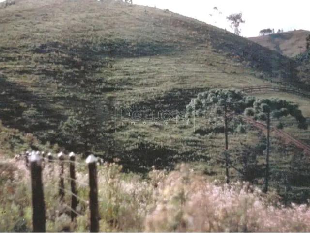 Terreno / Lote para Venda em Campos do Jordão/SP Jardim Véu da Noiva