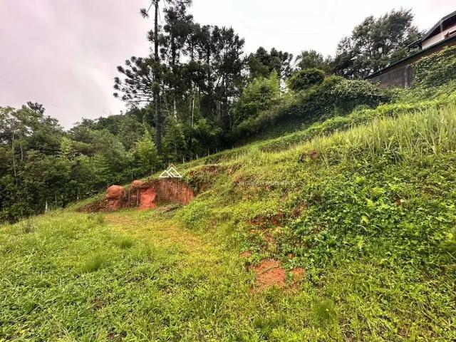 Terreno / Lote para Venda em Campos do Jordão/SP Vila Britania