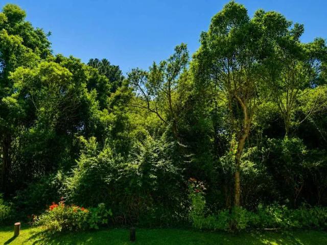 Terreno / Lote para Venda em Campos do Jordão/SP Vila Capivari