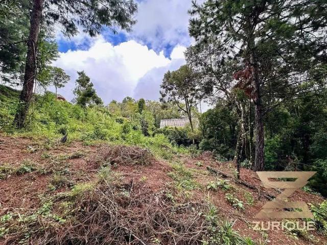 Terreno / Lote para Venda em Campos do Jordão/SP Vila Natal