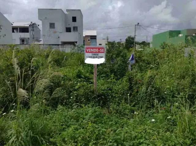 Terreno / Lote para Venda em Campos dos Goytacazes/RJ Alpha Green