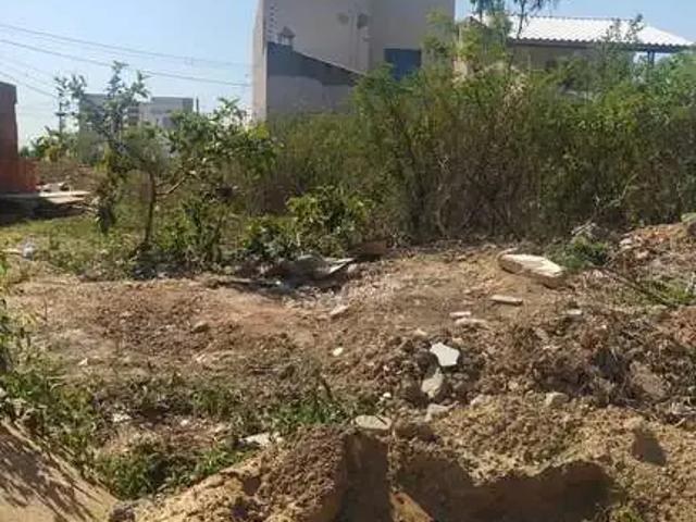 Terreno / Lote para Venda em Campos dos Goytacazes/RJ Alpha Green