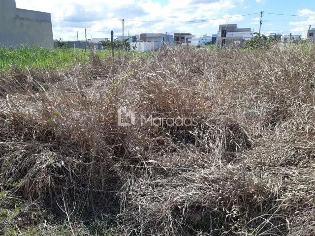 Terreno / Lote para Venda em Campos dos Goytacazes/RJ Cidade Jardim