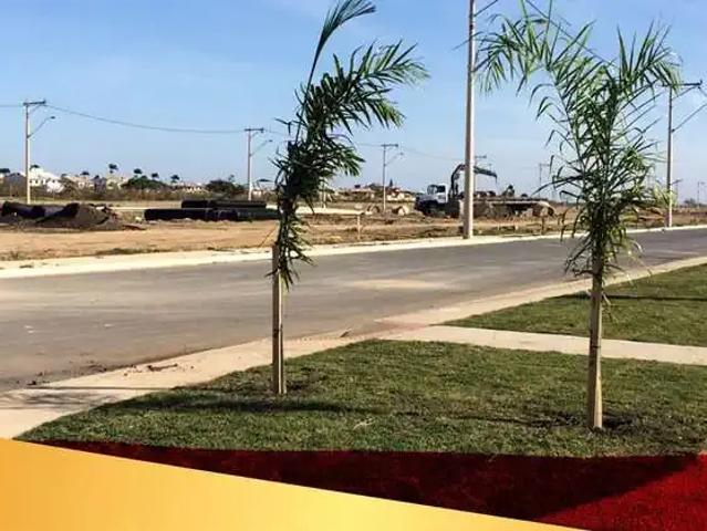 Terreno / Lote para Venda em Campos dos Goytacazes/RJ Goytacazes