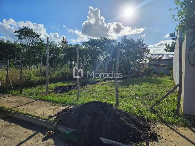 Terreno / Lote para Venda em Campos dos Goytacazes/RJ Goytacazes