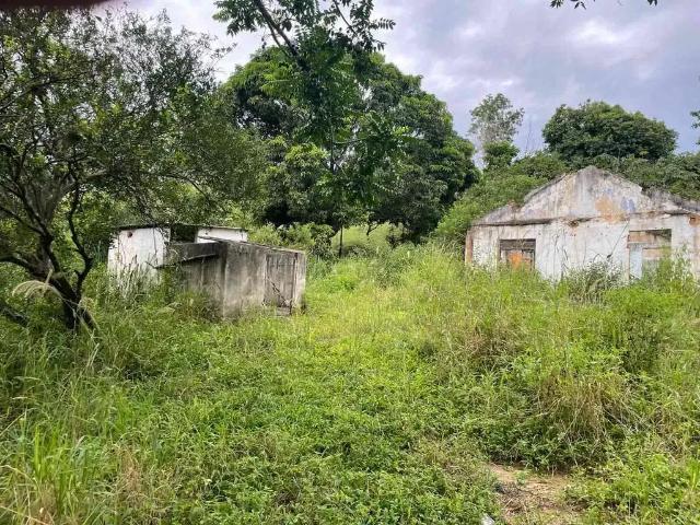Terreno / Lote para Venda em Campos dos Goytacazes/RJ Lagoa de Cima