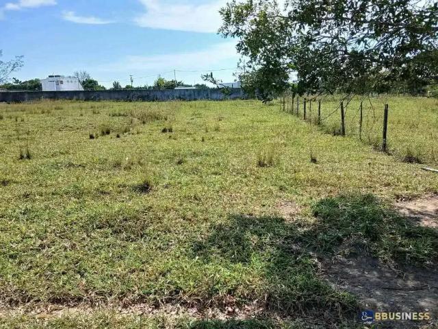 Terreno / Lote para Venda em Campos dos Goytacazes/RJ Parque Aeroporto