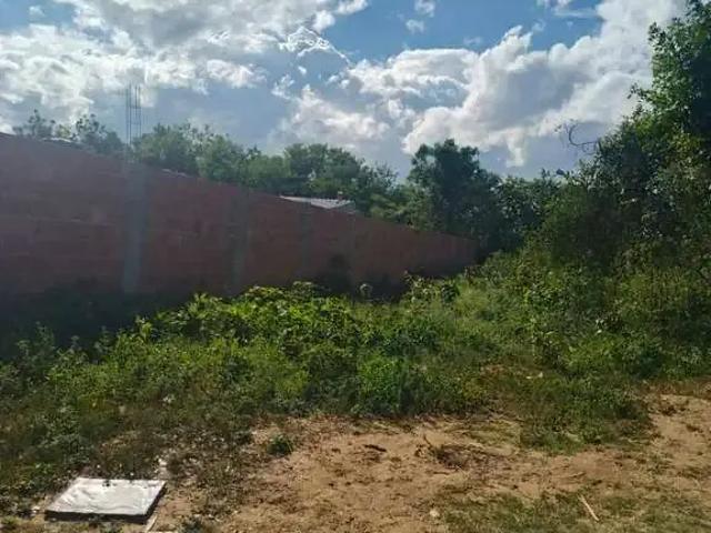 Terreno / Lote para Venda em Campos dos Goytacazes/RJ Parque Novo Jockey