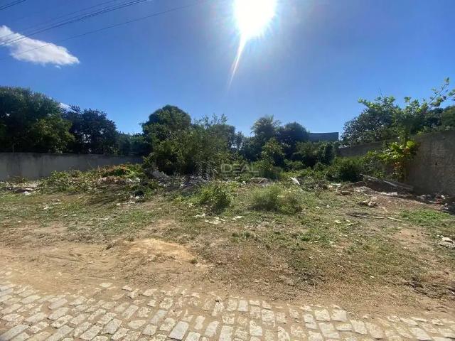 Terreno / Lote para Venda em Campos dos Goytacazes/RJ Parque Novo Jockey