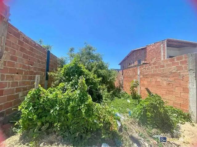 Terreno / Lote para Venda em Campos dos Goytacazes/RJ Parque Novo Jockey
