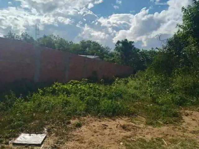 Terreno / Lote para Venda em Campos dos Goytacazes/RJ Parque Novo Jockey