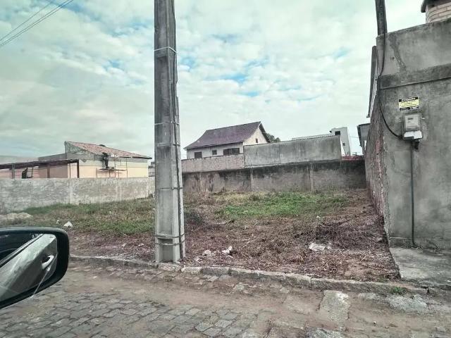 Terreno / Lote para Venda em Campos dos Goytacazes/RJ Parque Pecuária