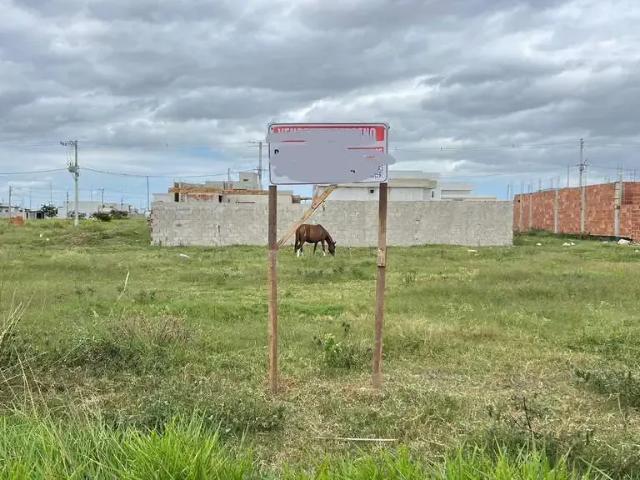 Terreno / Lote para Venda em Campos dos Goytacazes/RJ Parque Tarcisio Miranda
